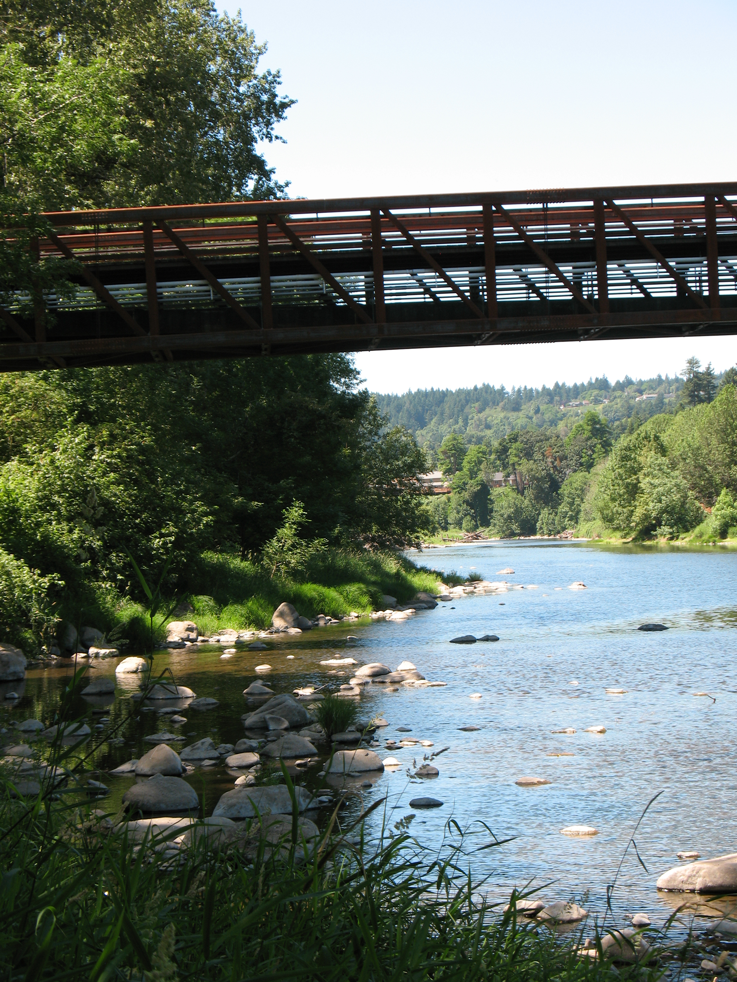 Parks Volunteers | Camas WA