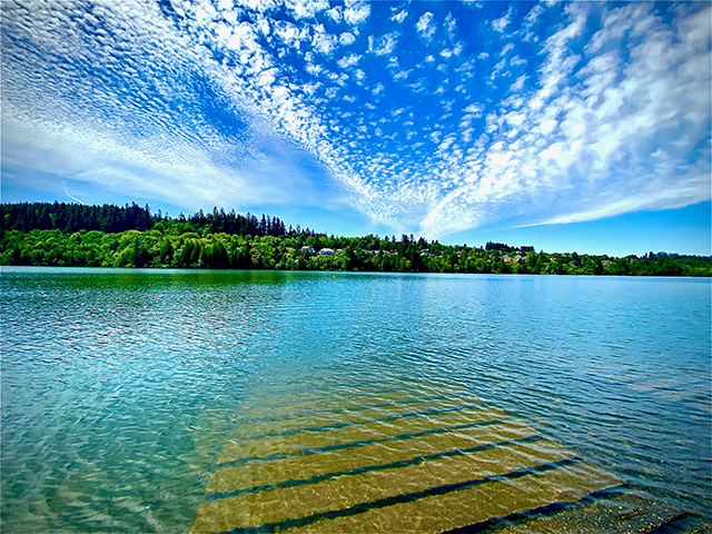 Lacamas Lake Treatment Scheduled for Summer 2024 | Camas WA